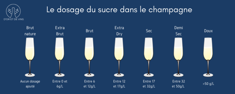 Le guide pour tout savoir sur le champagne - D'or et de vins